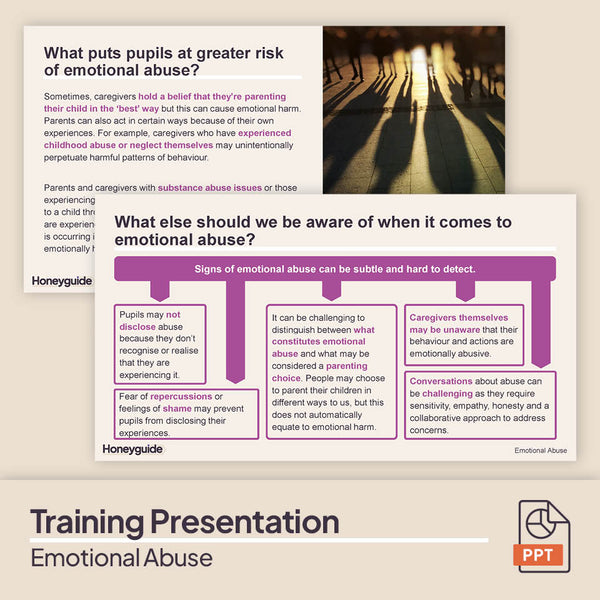 Emotional Abuse: Safeguarding Training Bundle | Honeyguide SLS ...