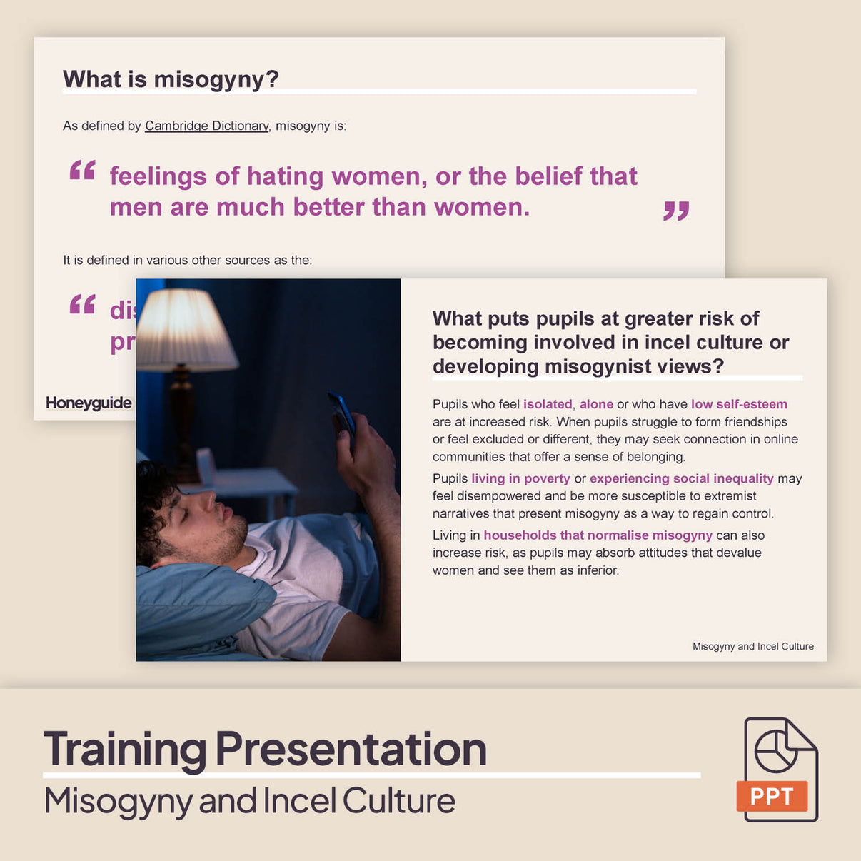 Misogyny and Incel Culture: Safeguarding Training Bundle | Honeyguide ...