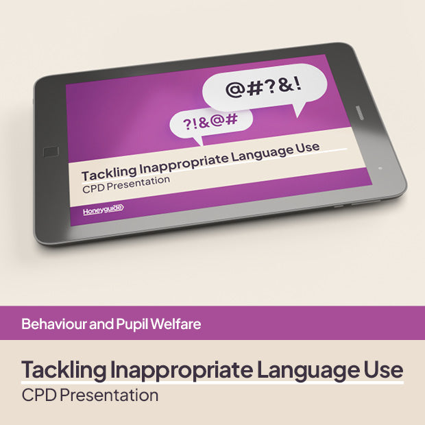 Tackling Inappropriate Language: Behaviour CPD Session | Honeyguide SLS ...