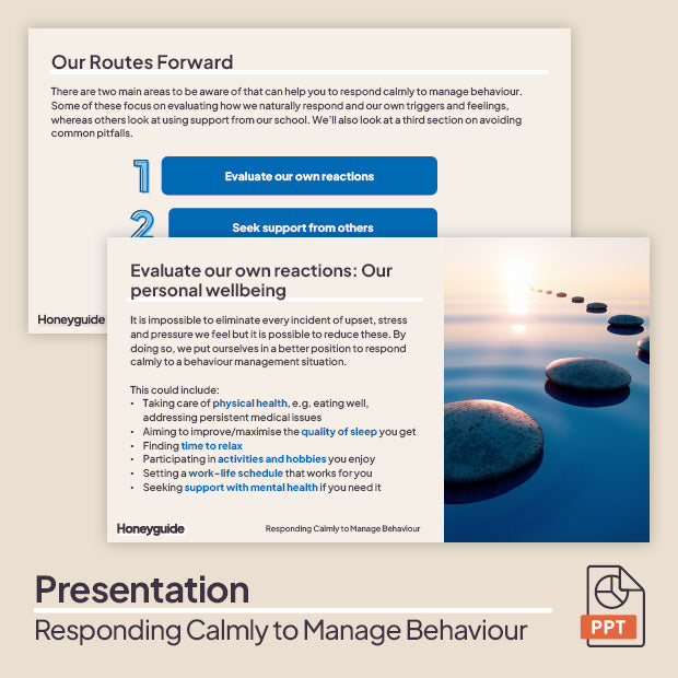 Responding Calmly to Manage Behaviour: CPD Session | Honeyguide SLS ...