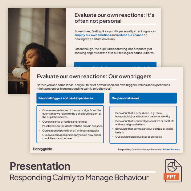 Responding Calmly to Manage Behaviour: CPD Session | Honeyguide SLS ...