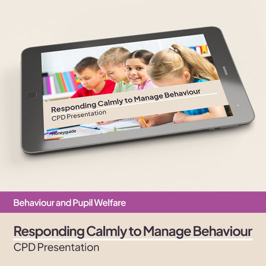Behaviour Management | Honeyguide School Leader Support