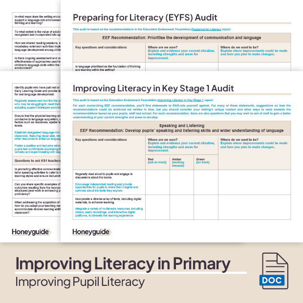 Improving Pupil Literacy Pack | Honeyguide School Leader Support