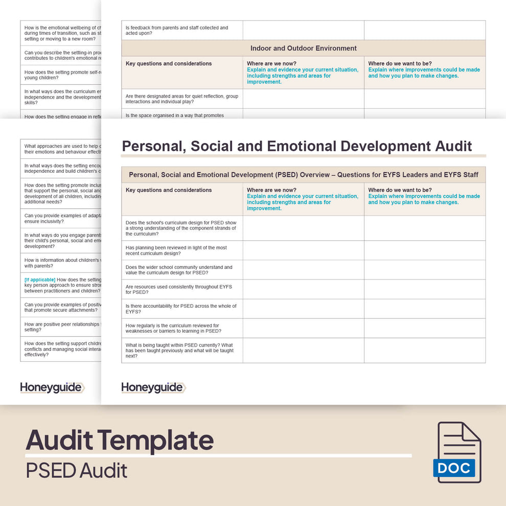 Personal, Social and Emotional Development Audit Pack | Honeyguide SLS ...
