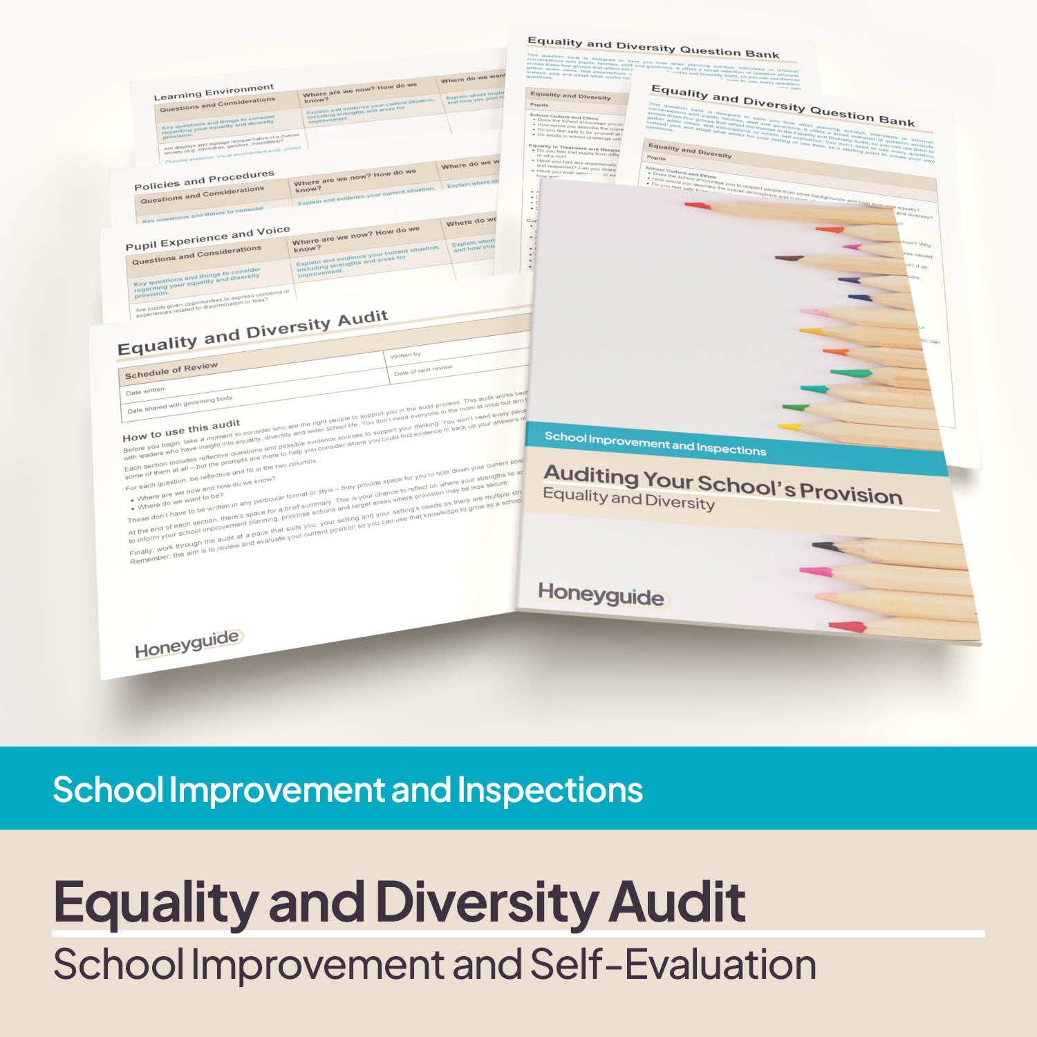 Equality and Diversity Audit for Schools | Honeyguide – Honeyguide ...