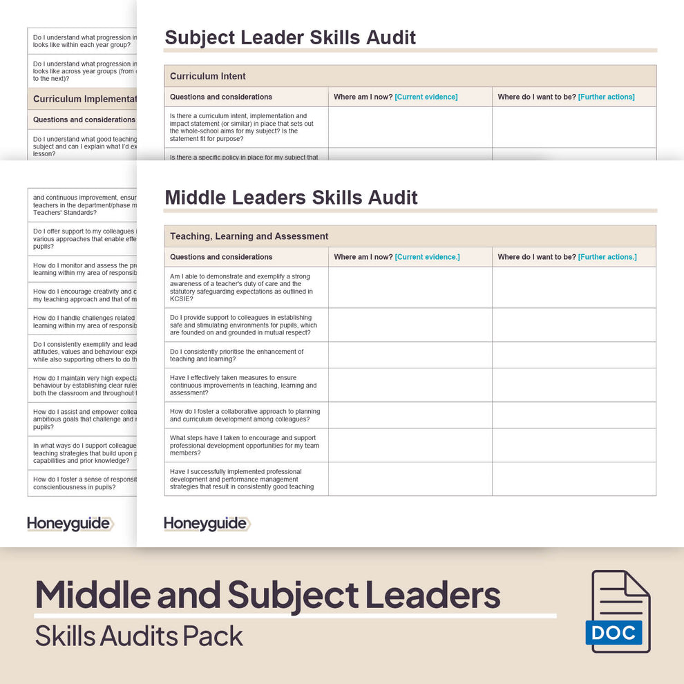 Skills Audits Pack - Complete Set for Multiple School Roles ...